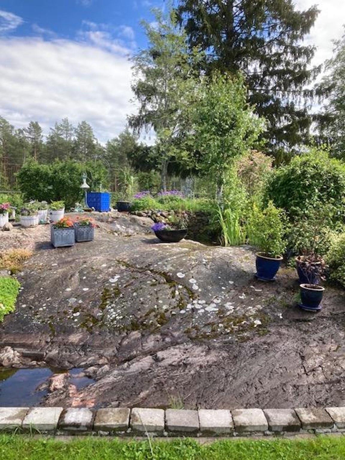 Gun-Britt och Anders trädgård - Riksförbundet Svensk Trädgård