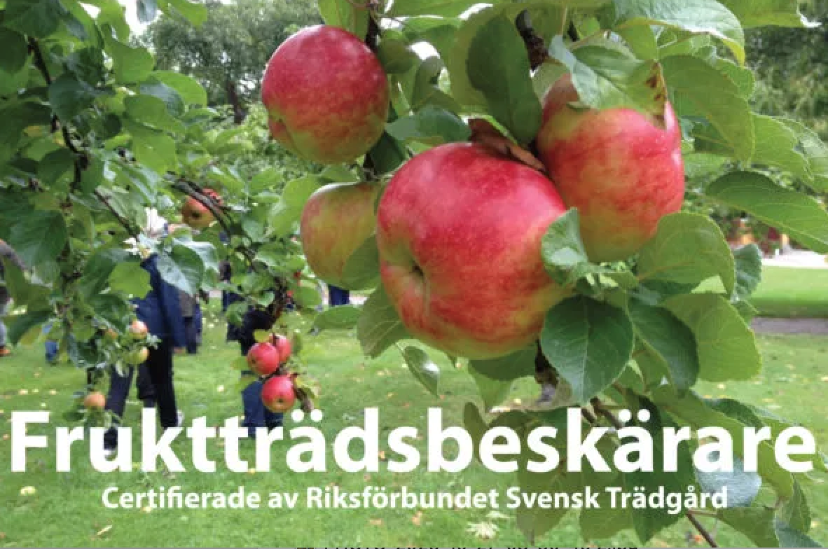 Mina sidor - Riksförbundet Svensk Trädgård