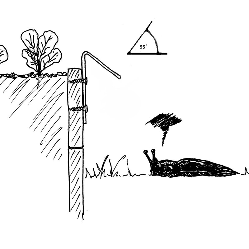 Effektiva bekämpningsmetoder av mördarsniglar, sniglar och snäckor ...