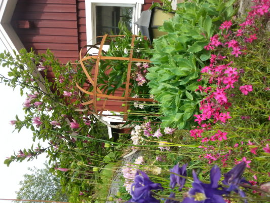 Björkhagen - Riksförbundet Svensk Trädgård