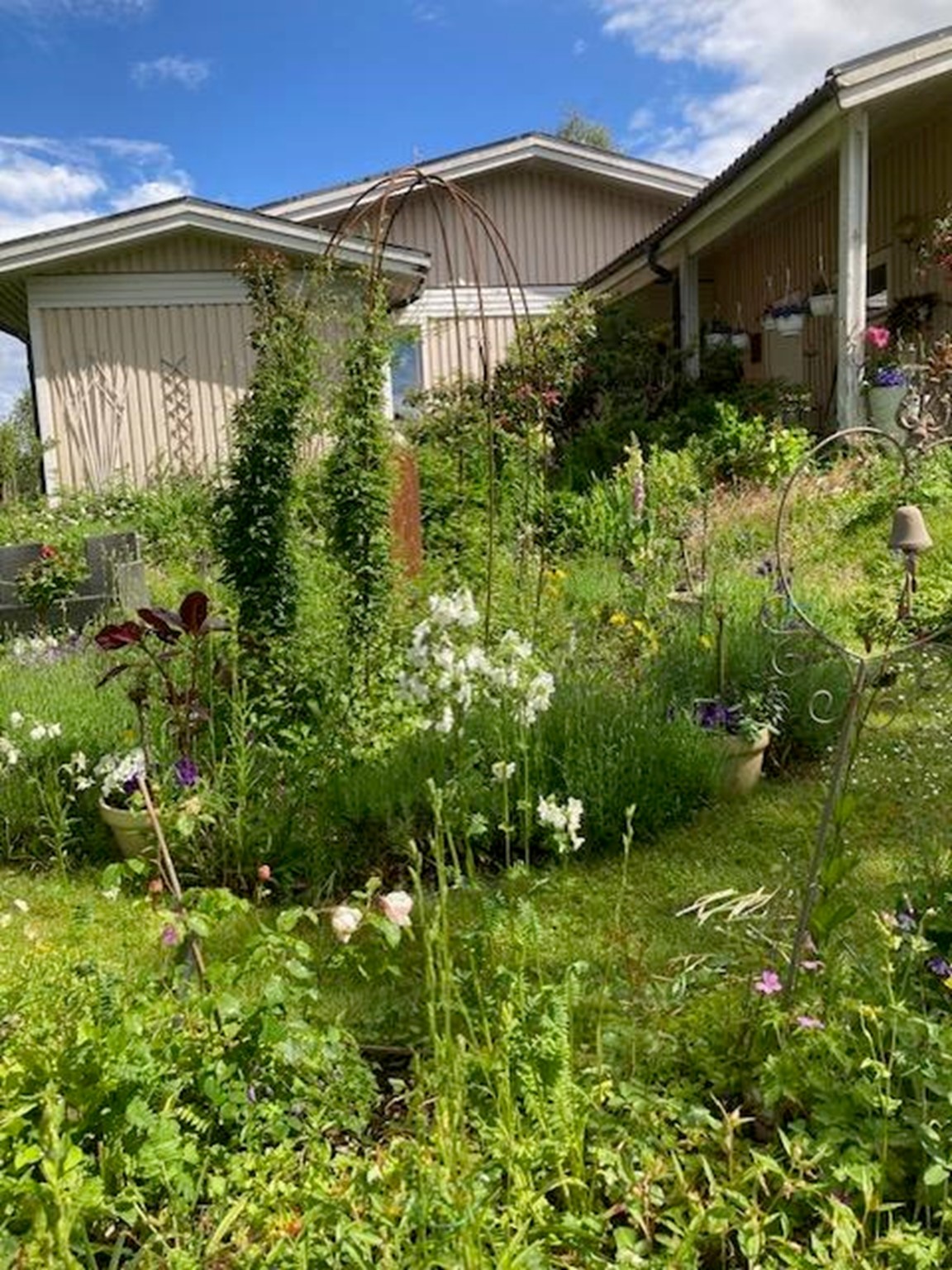 Gun-Britt och Anders trädgård - Riksförbundet Svensk Trädgård