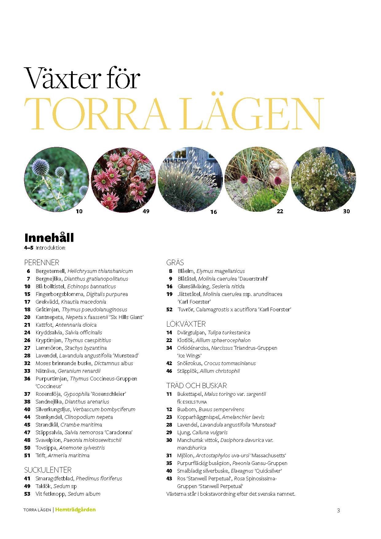 Växter för torra lägen - Riksförbundet Svensk Trädgård