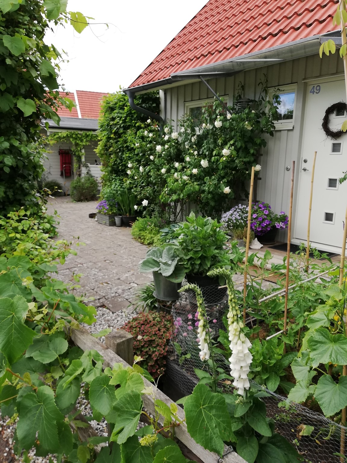 Liten radhus-trädgård med stort innehåll. - Riksförbundet Svensk Trädgård