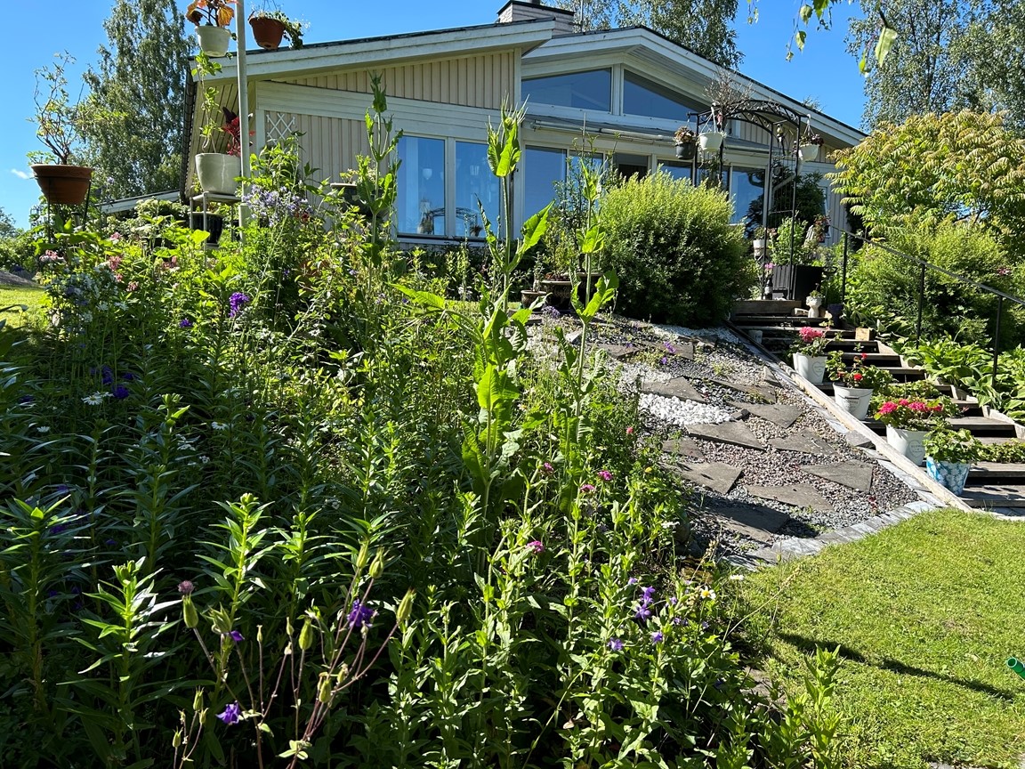 Gun-Britt och Anders trädgård - Riksförbundet Svensk Trädgård