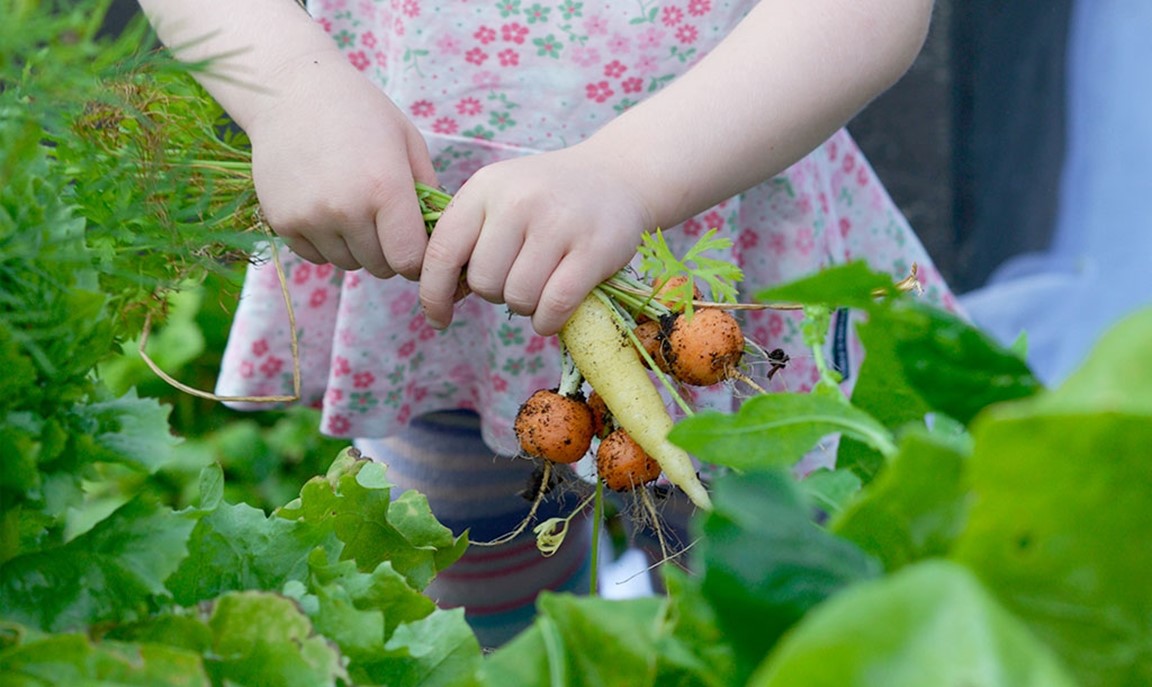 ODLA MED BARN - Riksförbundet Svensk Trädgård
