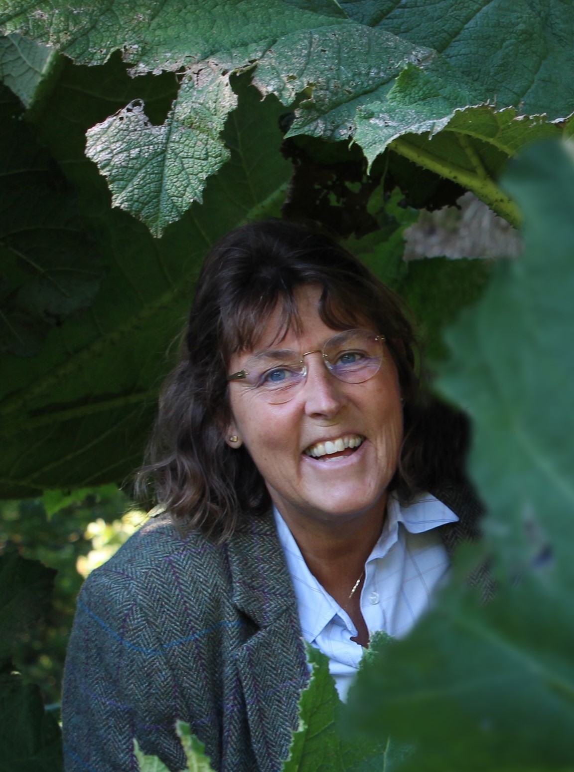 Trädgårdshistoria med utblickar mot världen - Elisabeth Svalin ...