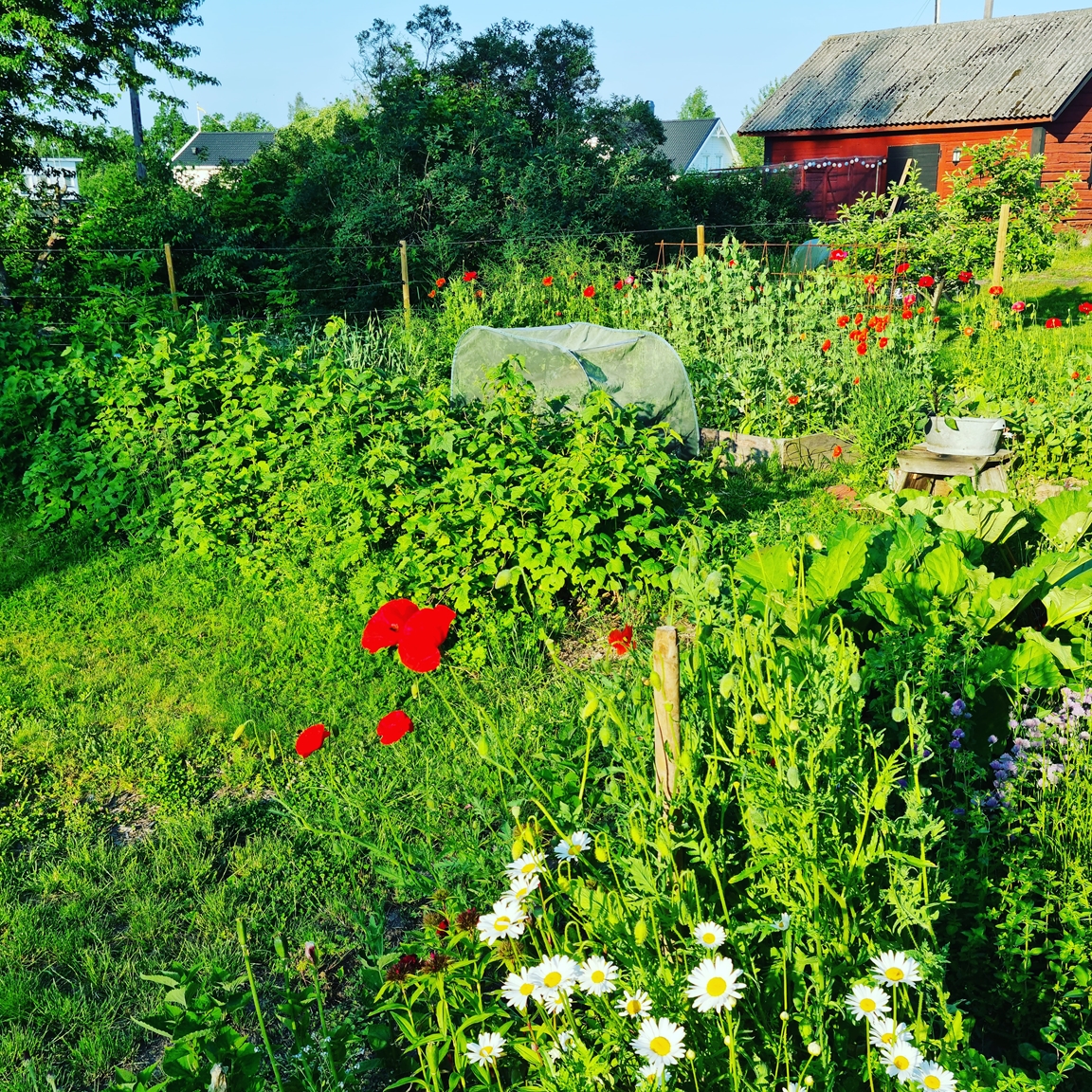 Nergården - Riksförbundet Svensk Trädgård