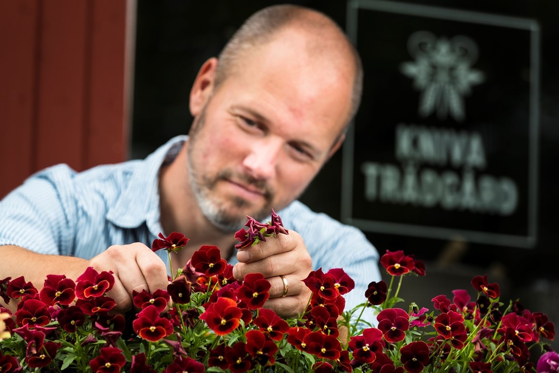 Åtta blommiga år på Kniva trädgård - Riksförbundet Svensk Trädgård