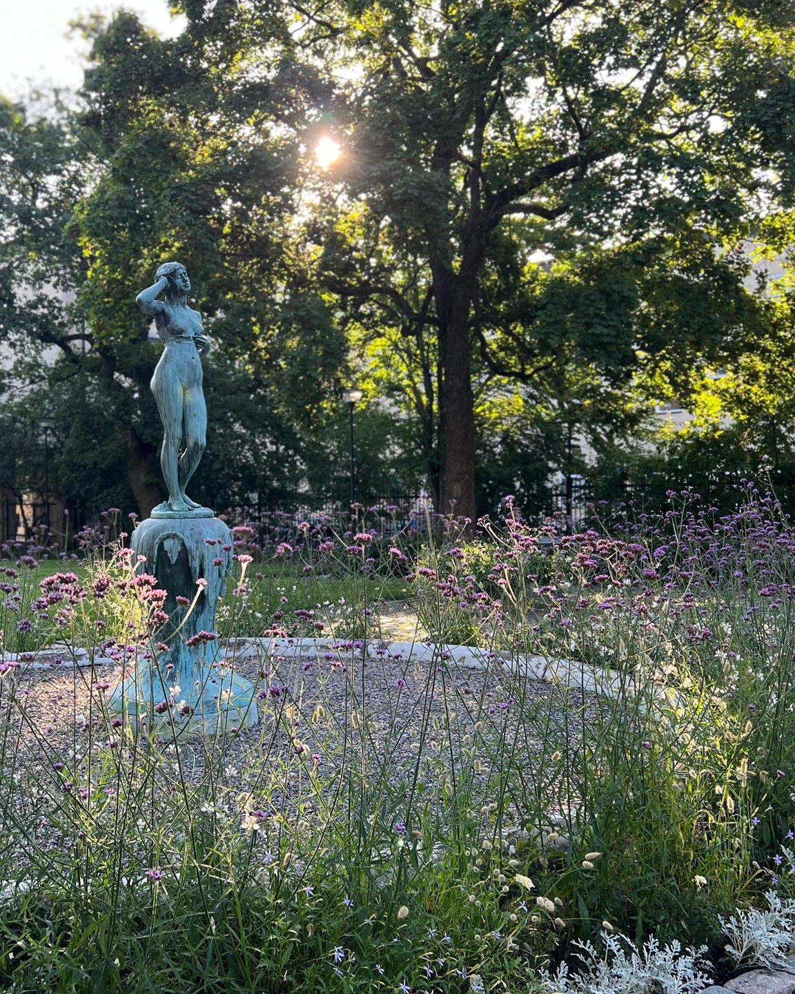 Vandring i Faluns parker - Riksförbundet Svensk Trädgård